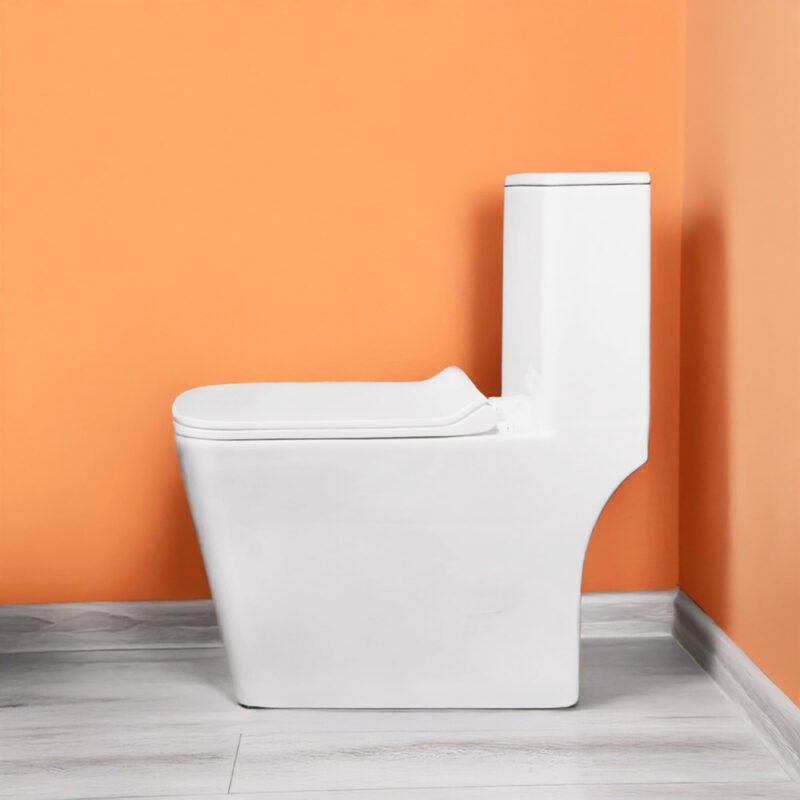 Cera One-Piece Closet Charm 300mm Toilet | Compact & Powerful
